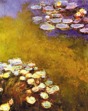 Canvas Printing | Poster Printing | Web Design | Exhibition Banner Stands